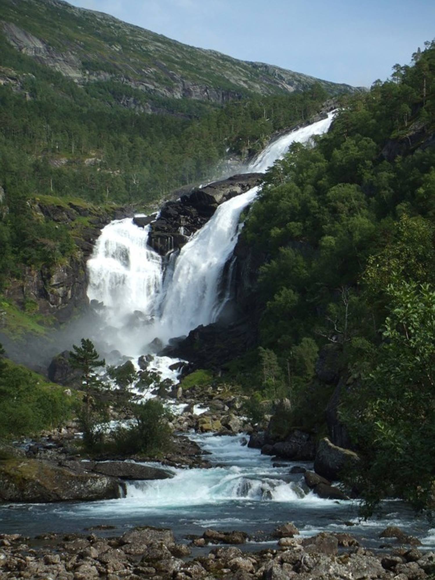 Energimarkedet må reorganiseres og Norge trenger en ny energilov ...
